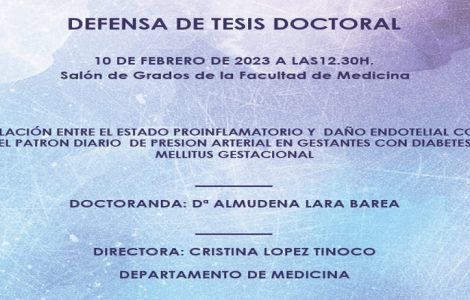 Defensa Pública de la TD de Dª Almudena Lara Barea – Departamento de ...